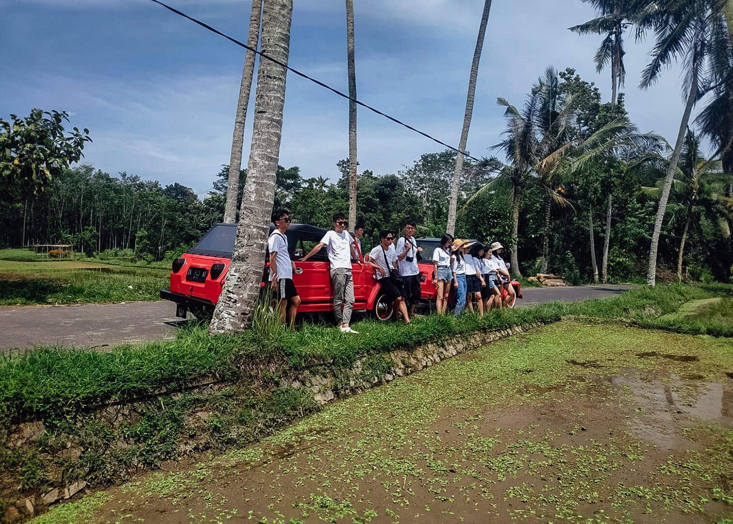 Majestic VW Journey | Explore Bali Beauty in a Vintage Tour